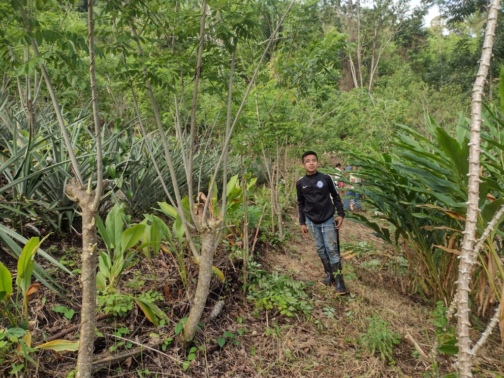 We Plant Trees on Contour.