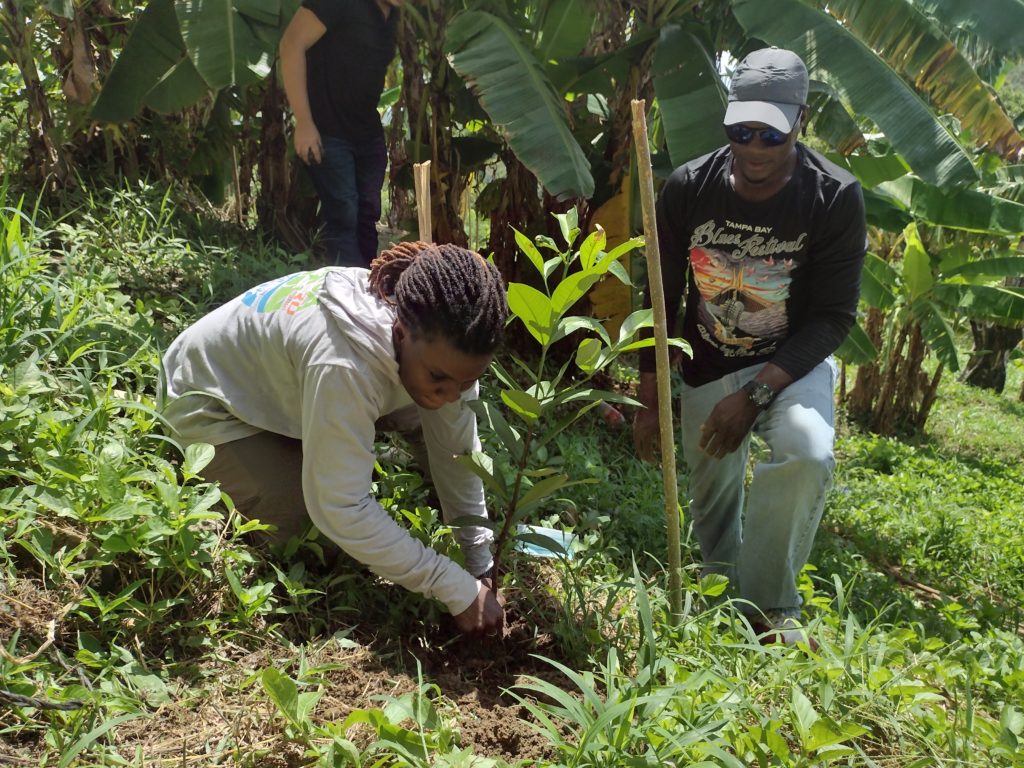 We plant Trees on Contour - Contour Lines Corp.